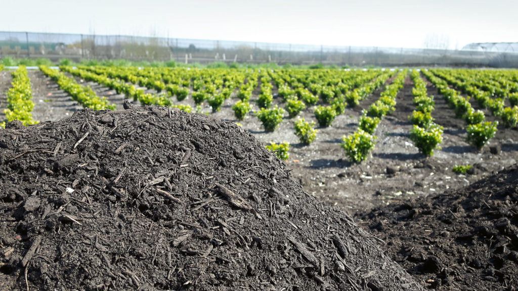 De Boomkwekerij Editie 3: Produceren zonder afval