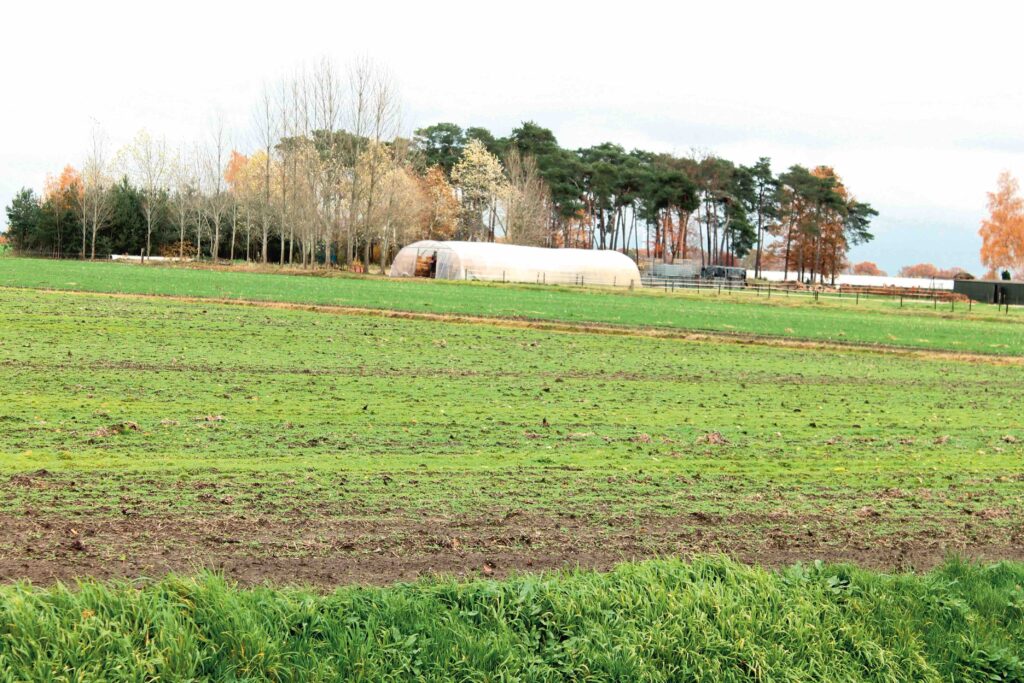 De Boomkwekerij Editie 22: Welke politieke partij biedt toekomst?